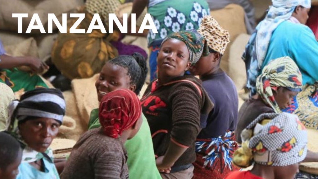 TANZANIA Tarime Town AA - LCC Roastery