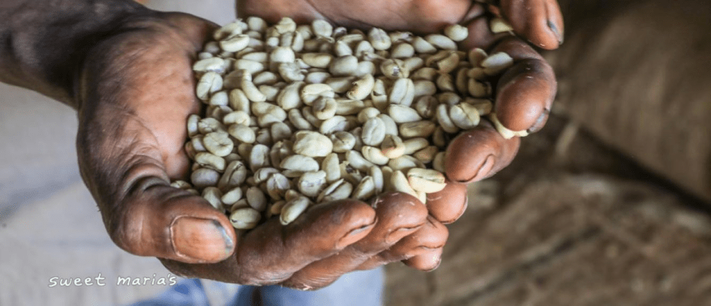 Ethiopia Dry Process Yirga Cheffe Mengesha Farm - LCC Roastery