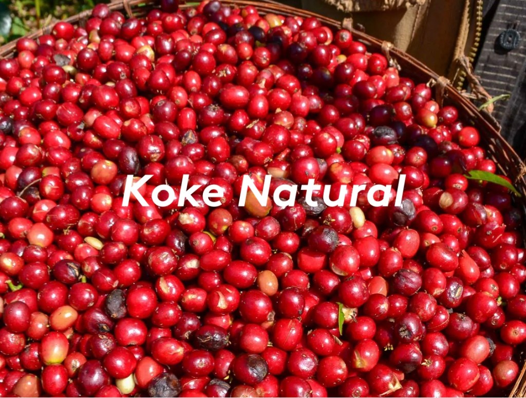 Ethiopia Yirgacheffe Koke Natural - LCC Roastery