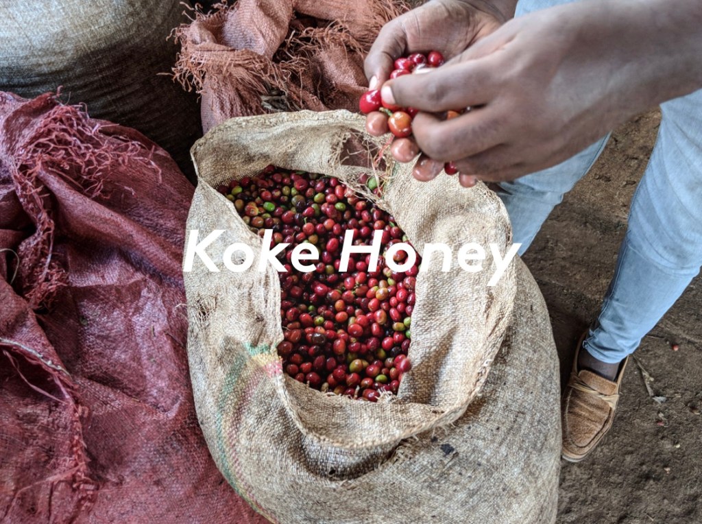 Ethiopia Yirgacheffe Koke Honey - LCC Roastery