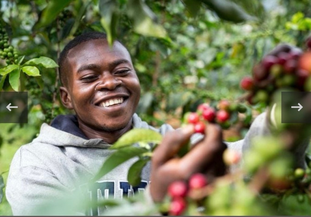 Congo Kivu Nyamasasa Station Top Lot - LCC Roastery